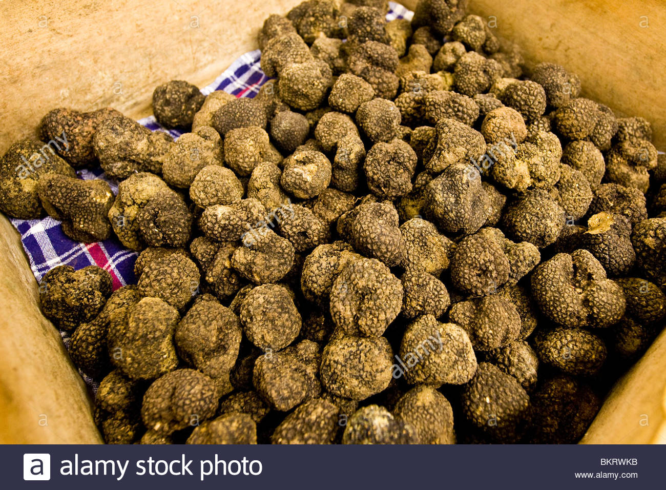 Alba Truffle High Resolution Stock Photography and Images - Alamy