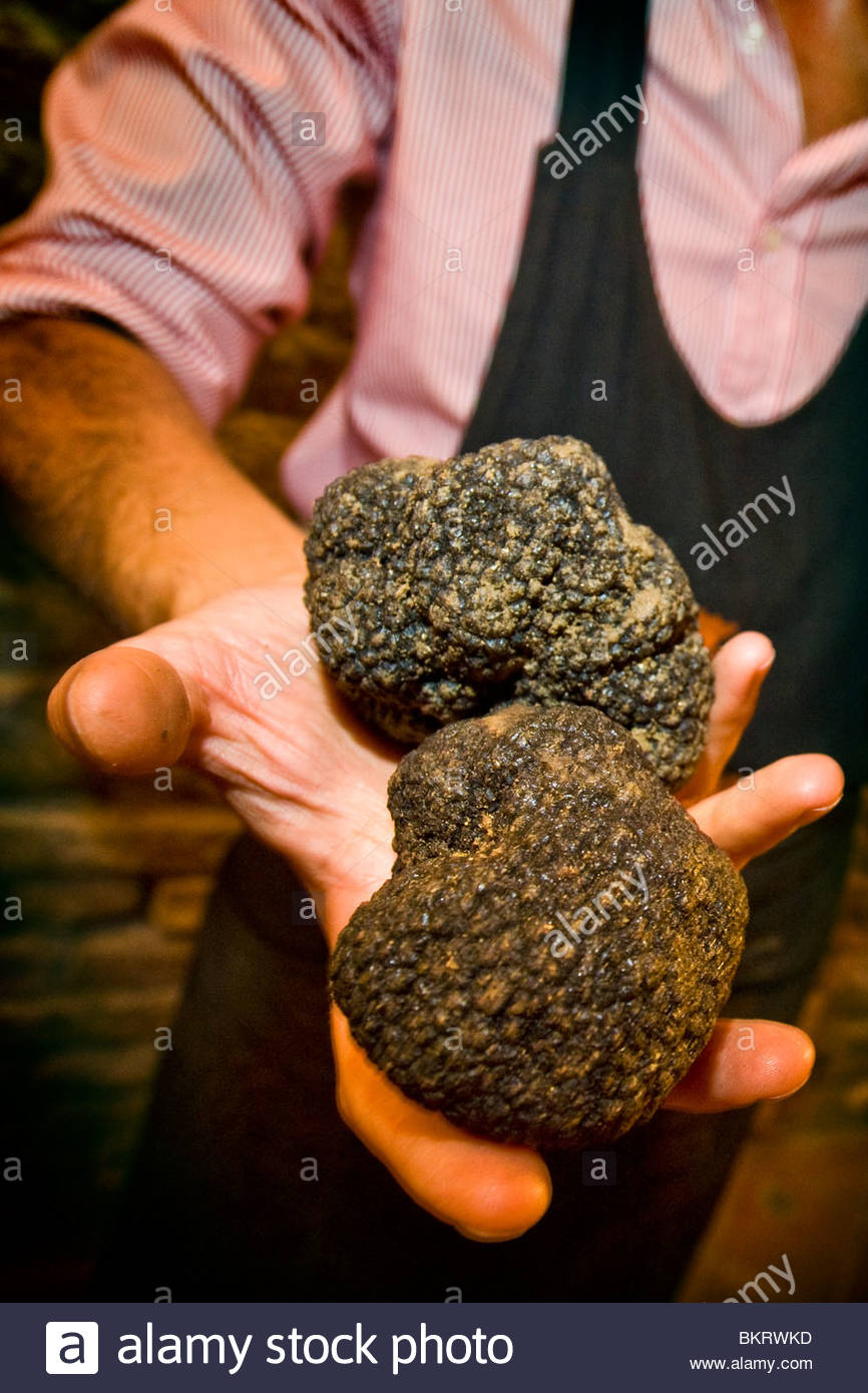 Alba Truffle High Resolution Stock Photography and Images - Alamy