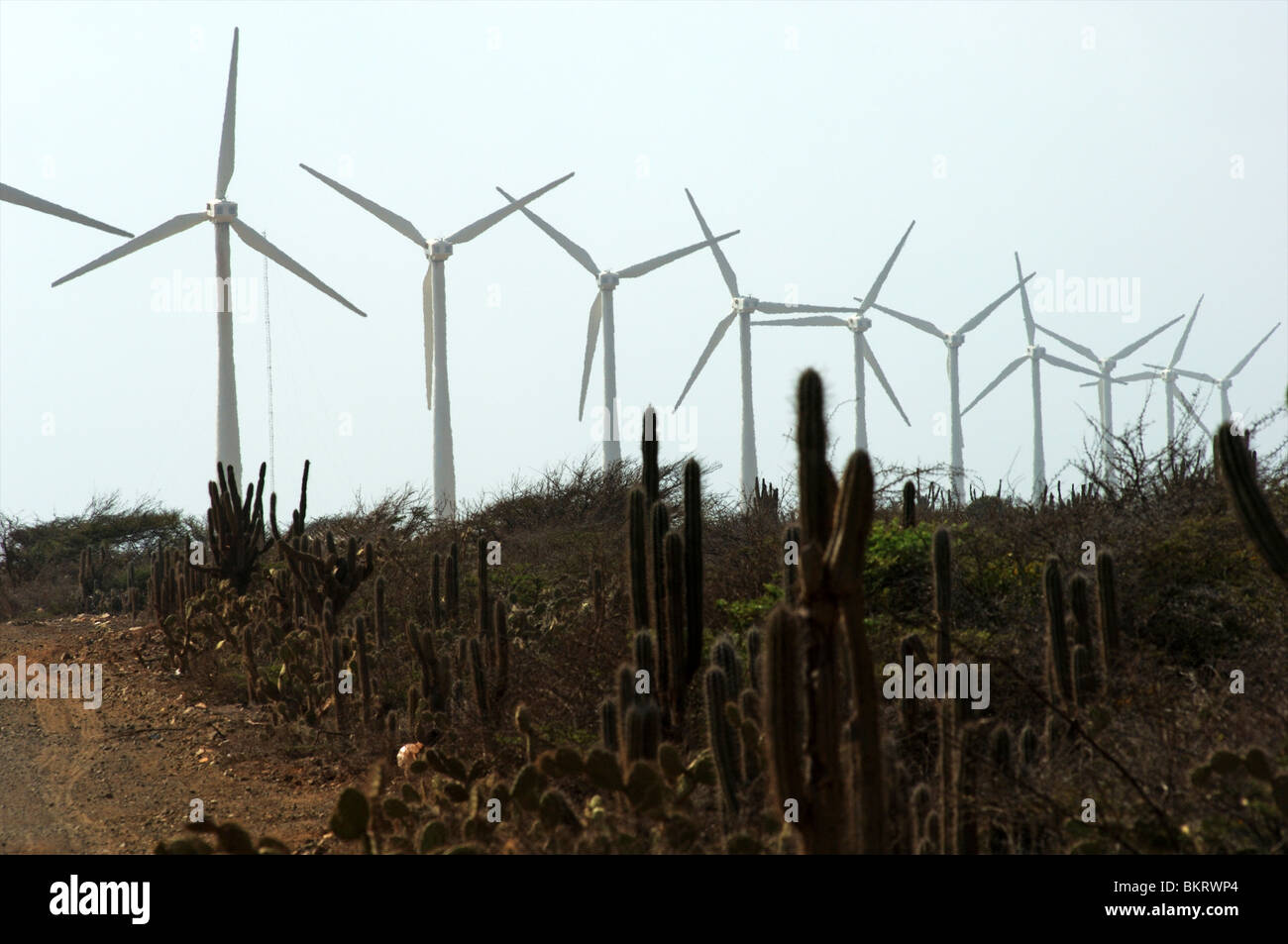 Curacao wind turbines Stock Photo - Alamy