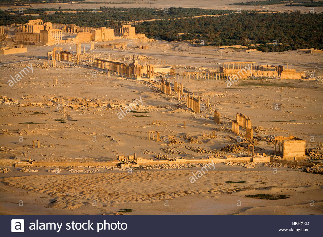 Archaeology Site Syria High Resolution Stock Photography and Images - Alamy