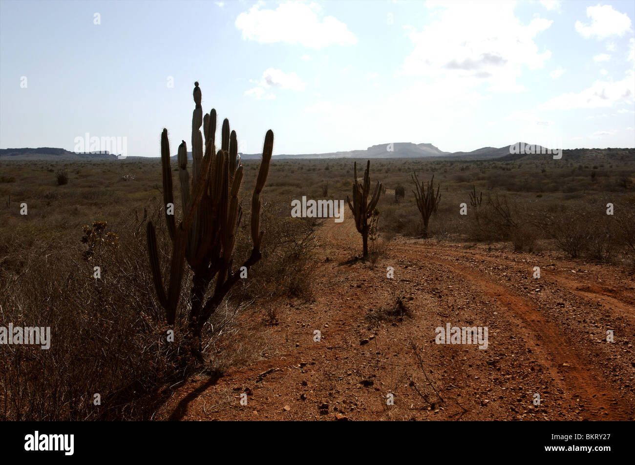 Curacao, Oostpunt, owned by Willy Maal Stock Photo - Alamy