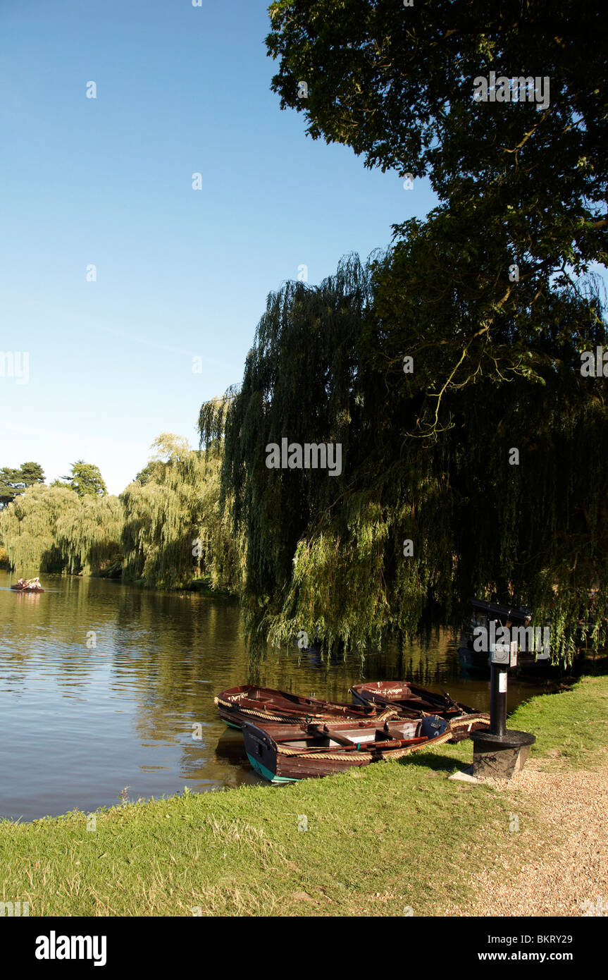 Row boats hi-res stock photography and images - Alamy