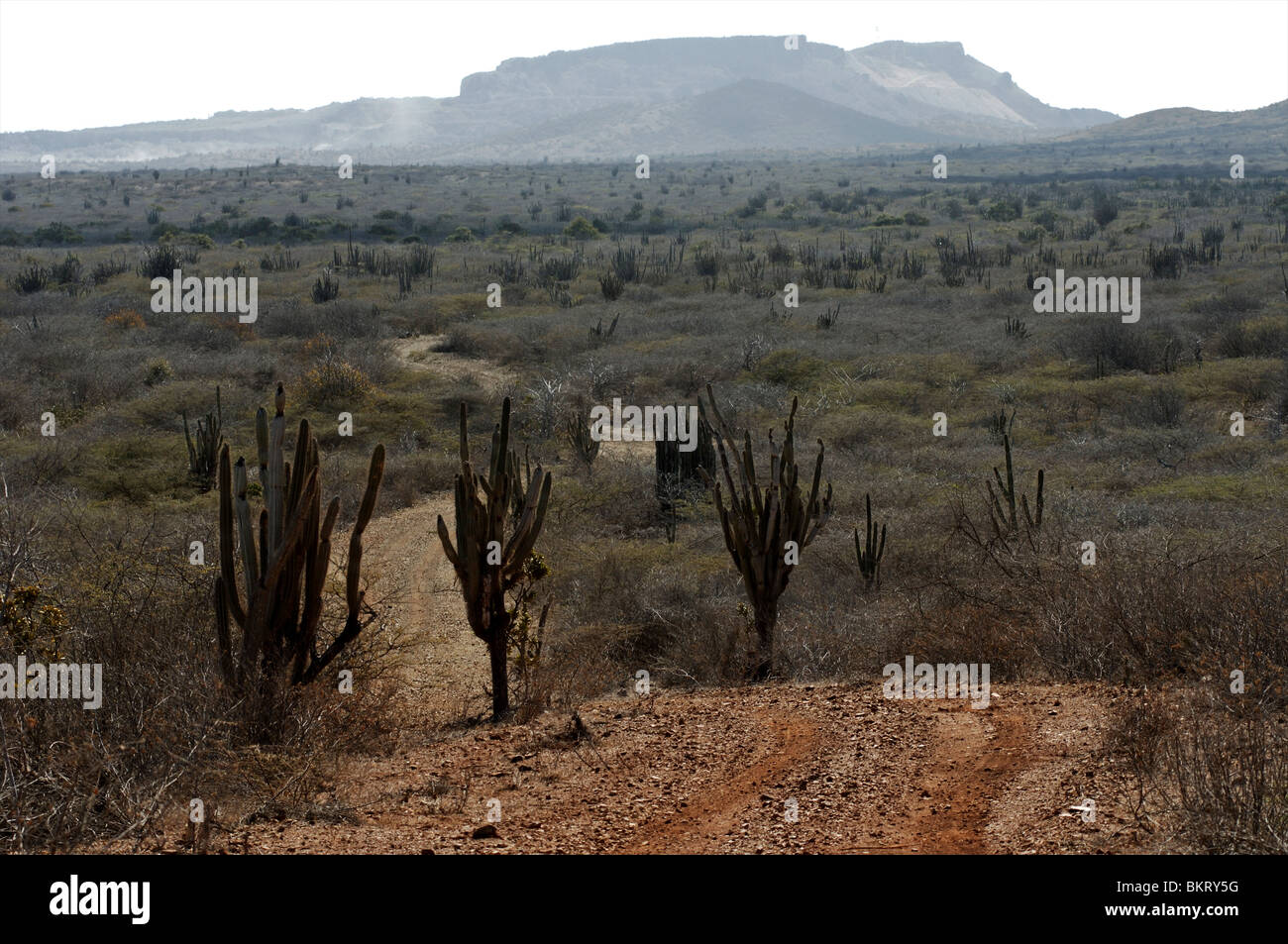 Curacao, Oostpunt, owned by Willy Maal Stock Photo - Alamy