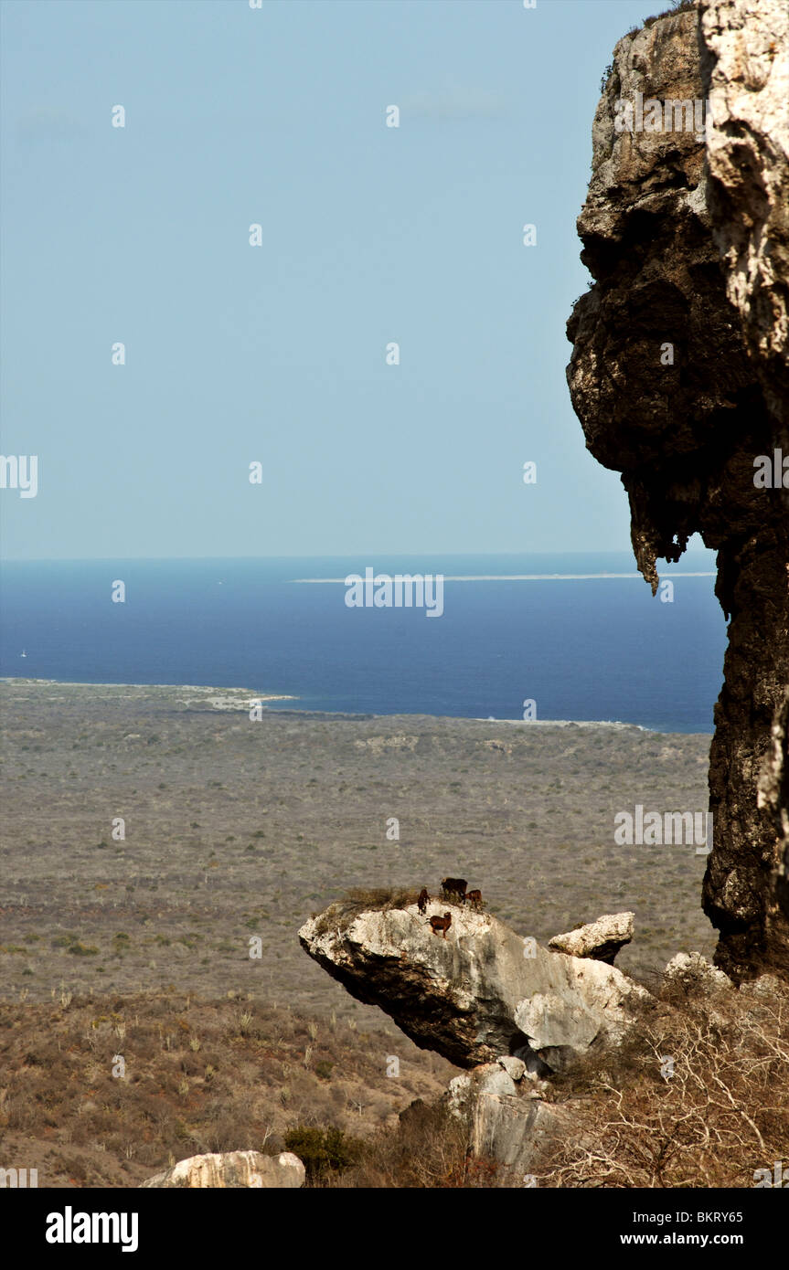 Curacao, Oostpunt, owned by Willy Maal Stock Photo - Alamy