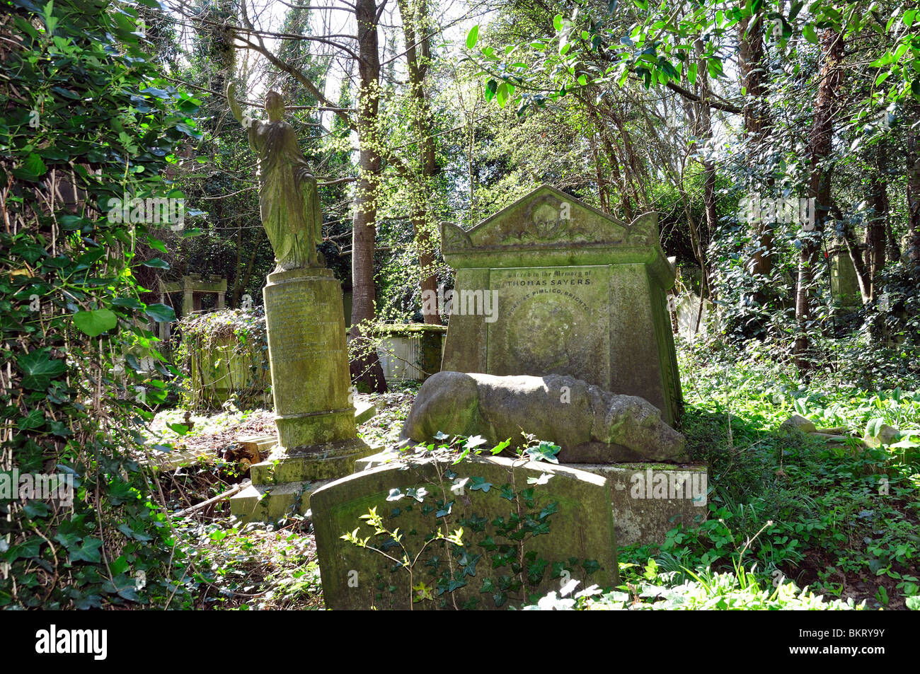 Tomb of Thomas Sayers in Highgate Cemetery West, London Stock Photo - Alamy