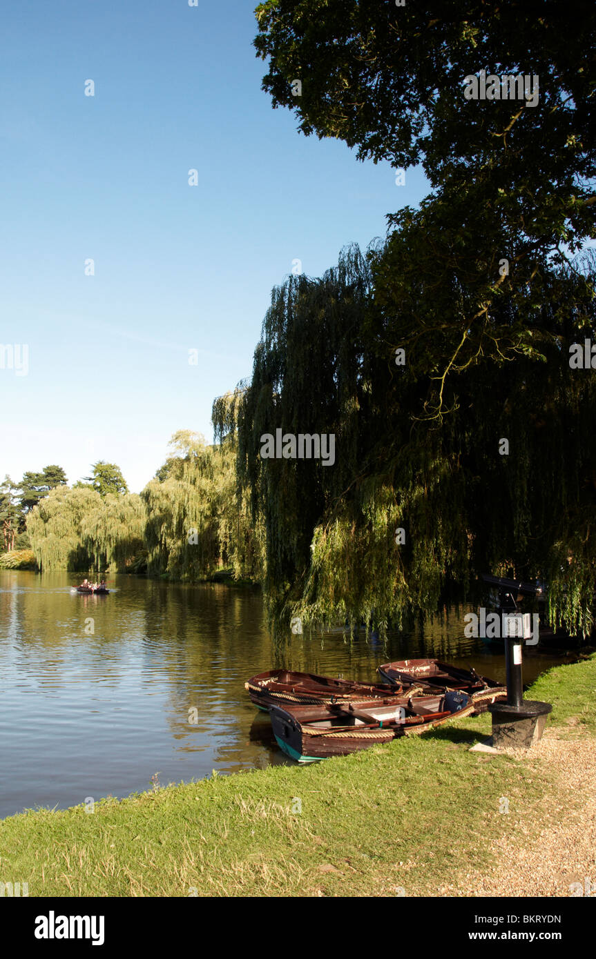 Row boats hi-res stock photography and images - Alamy