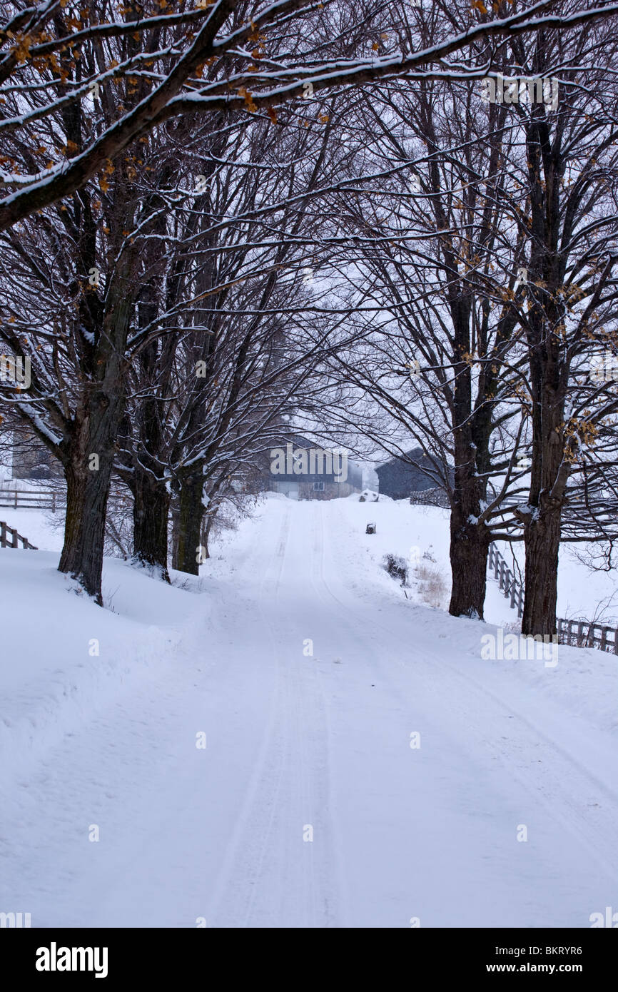 Winter farm lane Stock Photo - Alamy