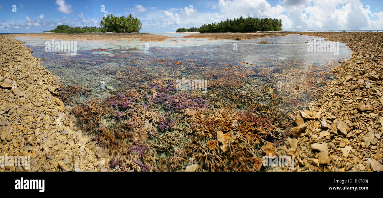 Tuvalu island in the pacific ocean threatens to disappear in the next ...