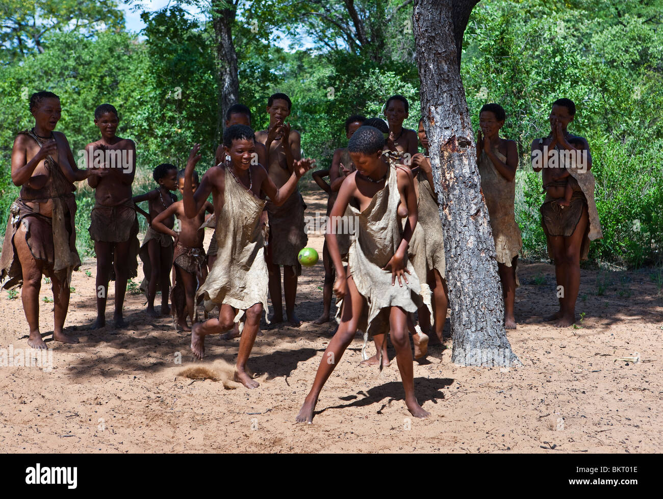 Namibia,Owamboland,Grashoek area,scene of life in a bushmen village ...