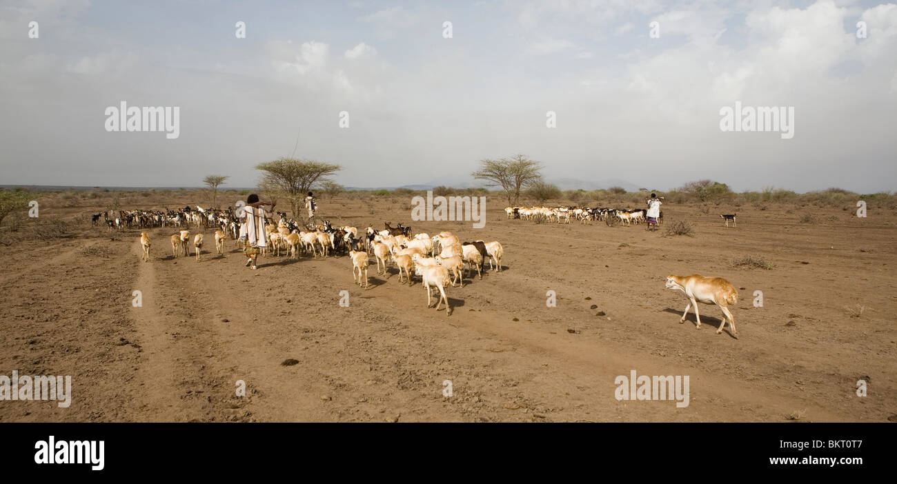 Afrikaans culture hi-res stock photography and images - Alamy