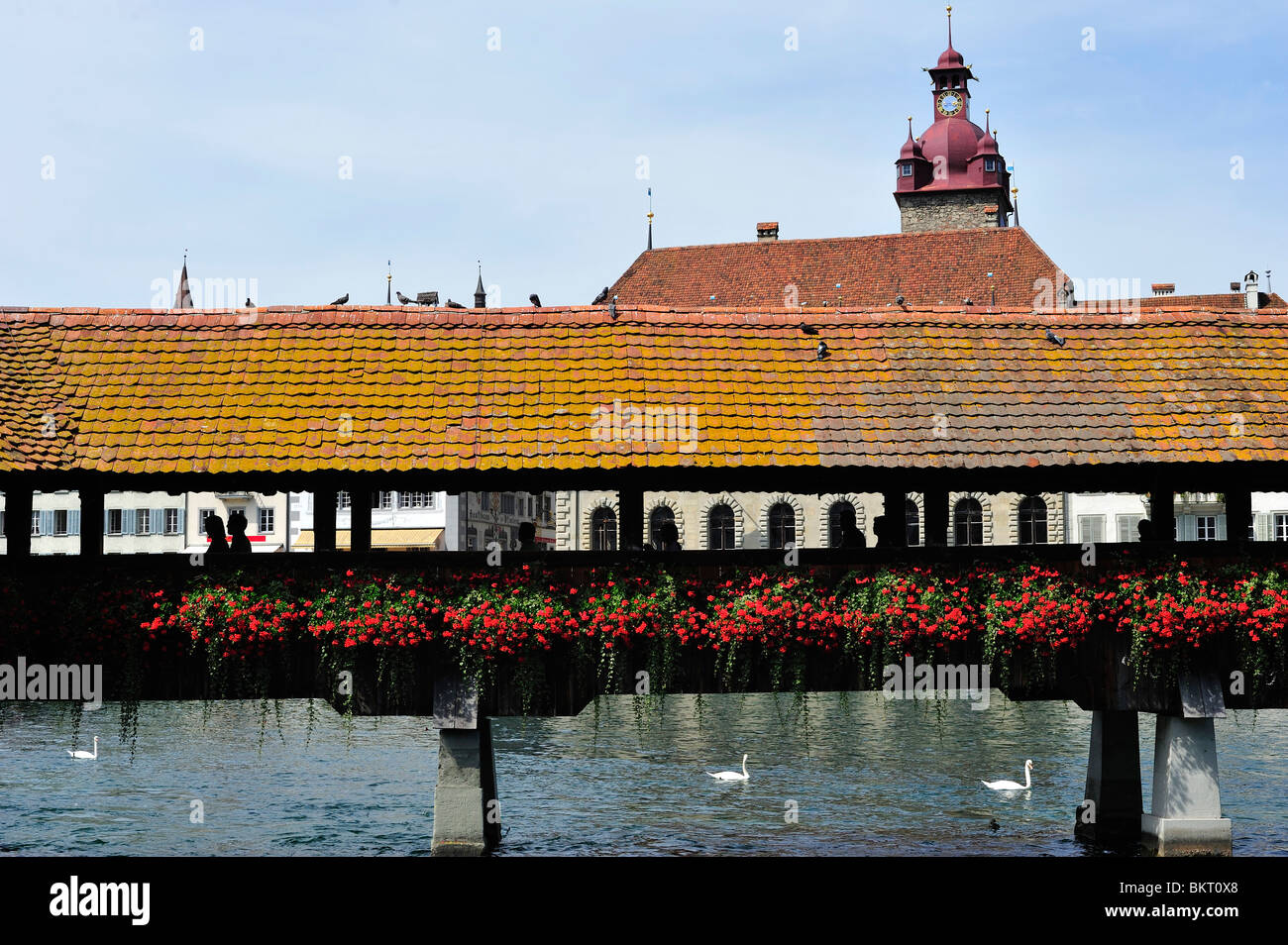 Lucerne, Canton of Lucerne, Switzerland Stock Photo - Alamy