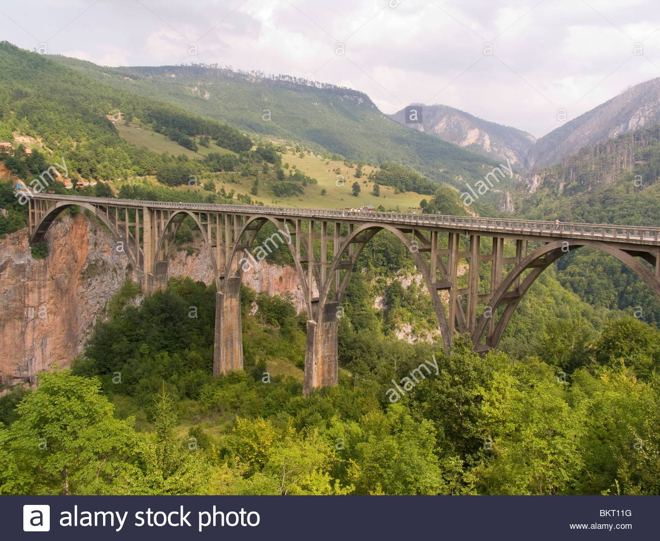 Durdevica Tara Bridge High Resolution Stock Photography and Images - Alamy