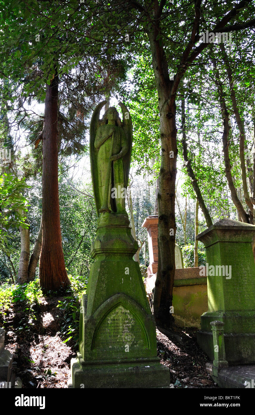 Stone angel in Highgate Cemetery West, London Stock Photo - Alamy