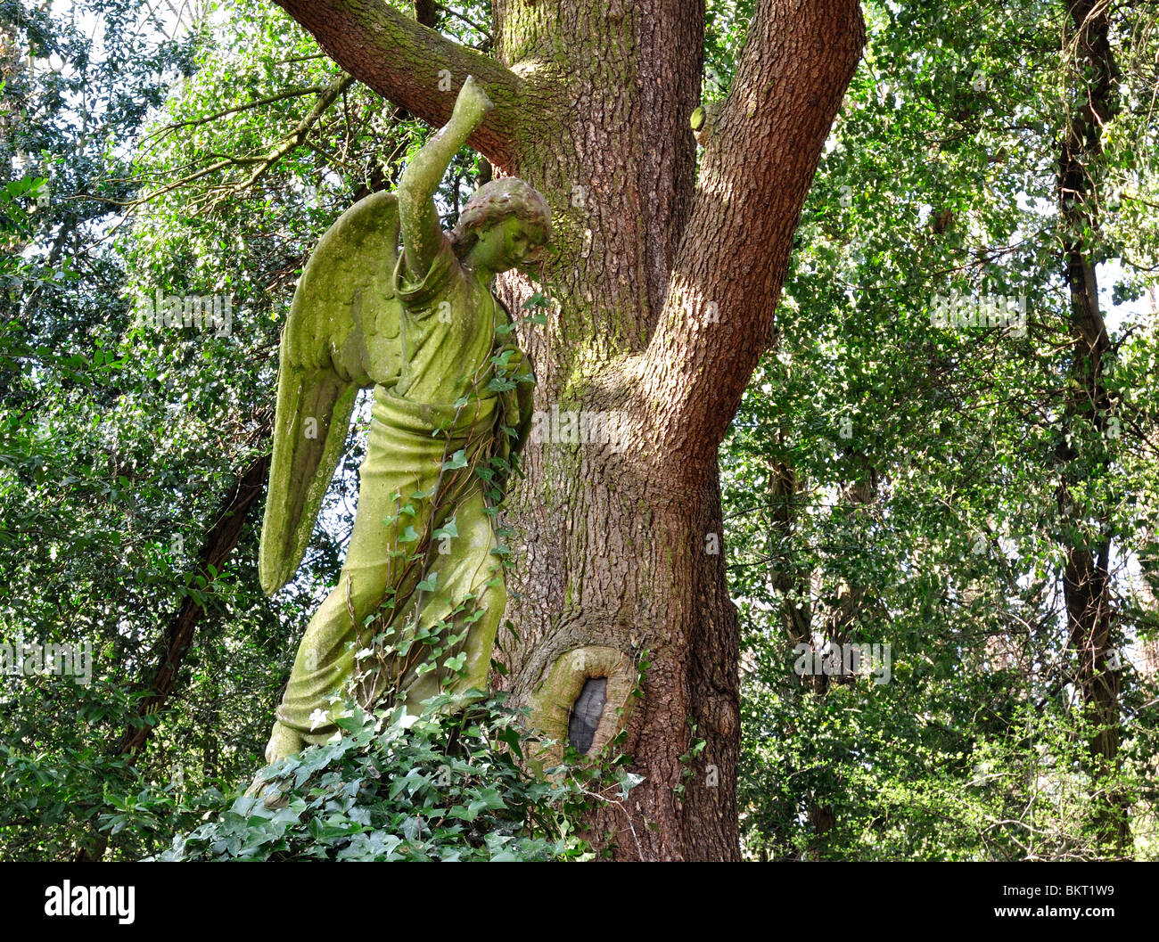 Stone angel in Highgate Cemetery West, London Stock Photo - Alamy