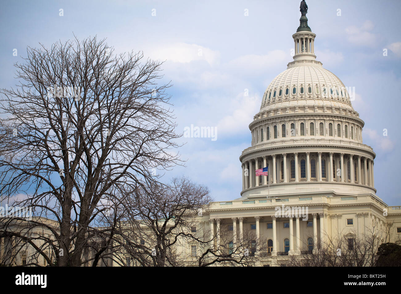 Capitol Building - Washington DC Stock Photo - Alamy