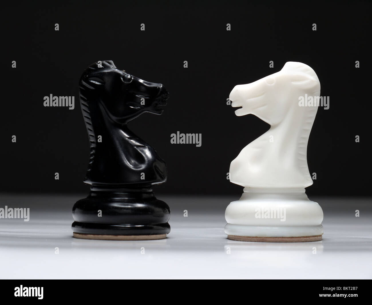 Black and white chess knights standing face to face over black ...