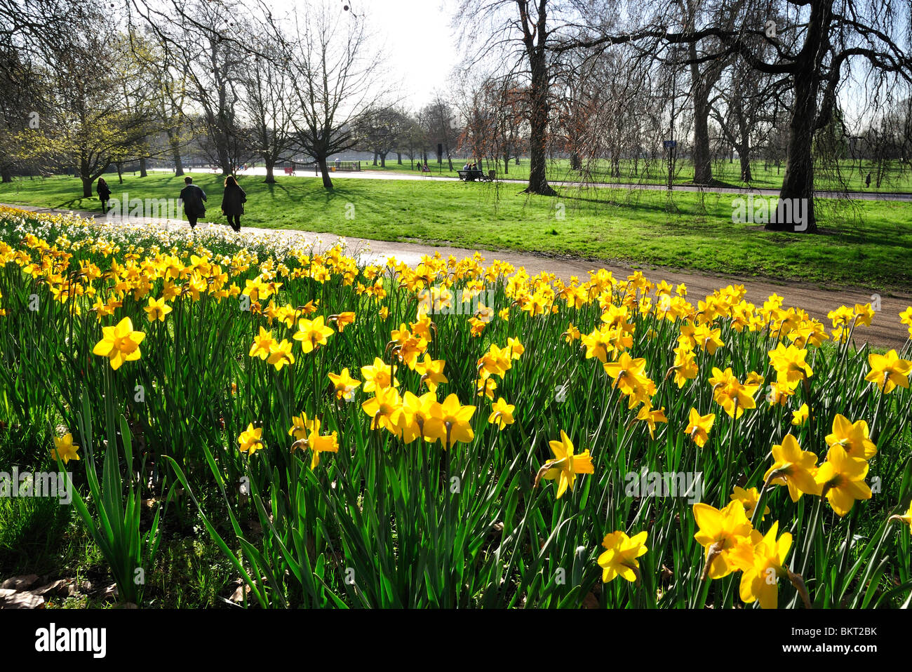 Hyde park london spring hi-res stock photography and images - Alamy