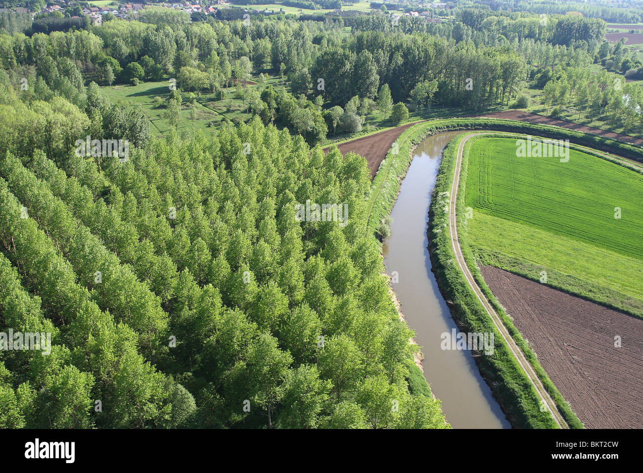 Poplars Populus Valley Of Demer High Resolution Stock Photography and ...