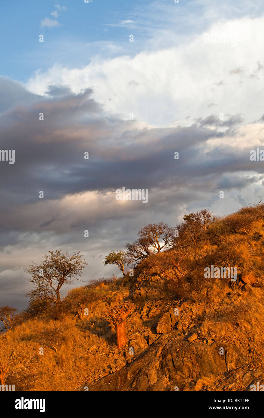 Namibia,sunset landscape in the Omaruru reserve Stock Photo - Alamy