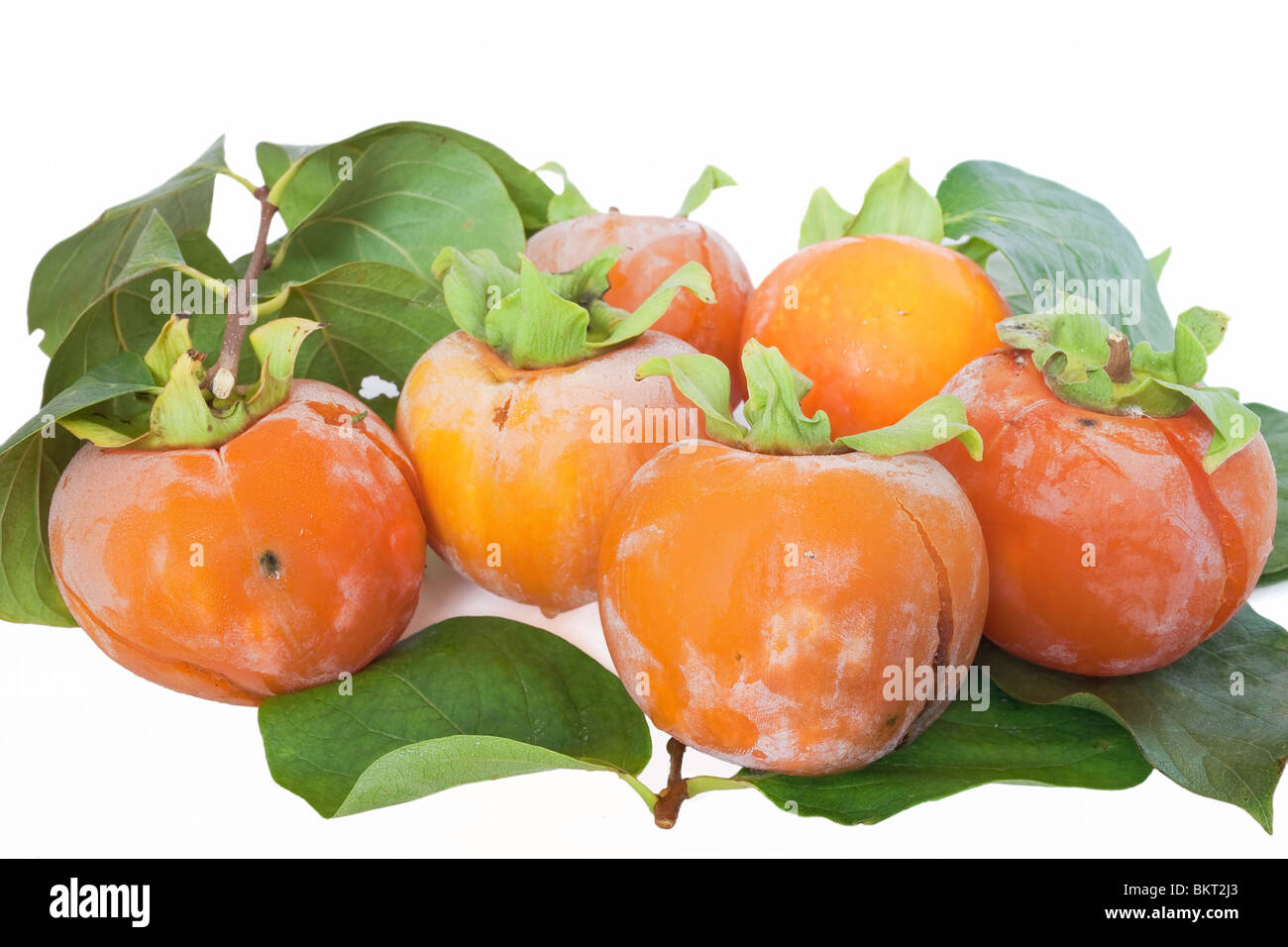 group ripe persimmons isolated on white background Stock Photo - Alamy
