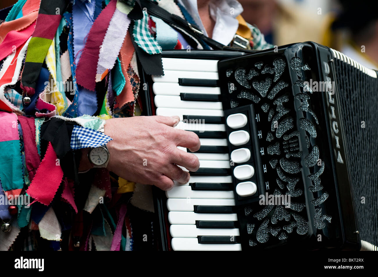 Musician accordion accordionist hi-res stock photography and images - Alamy