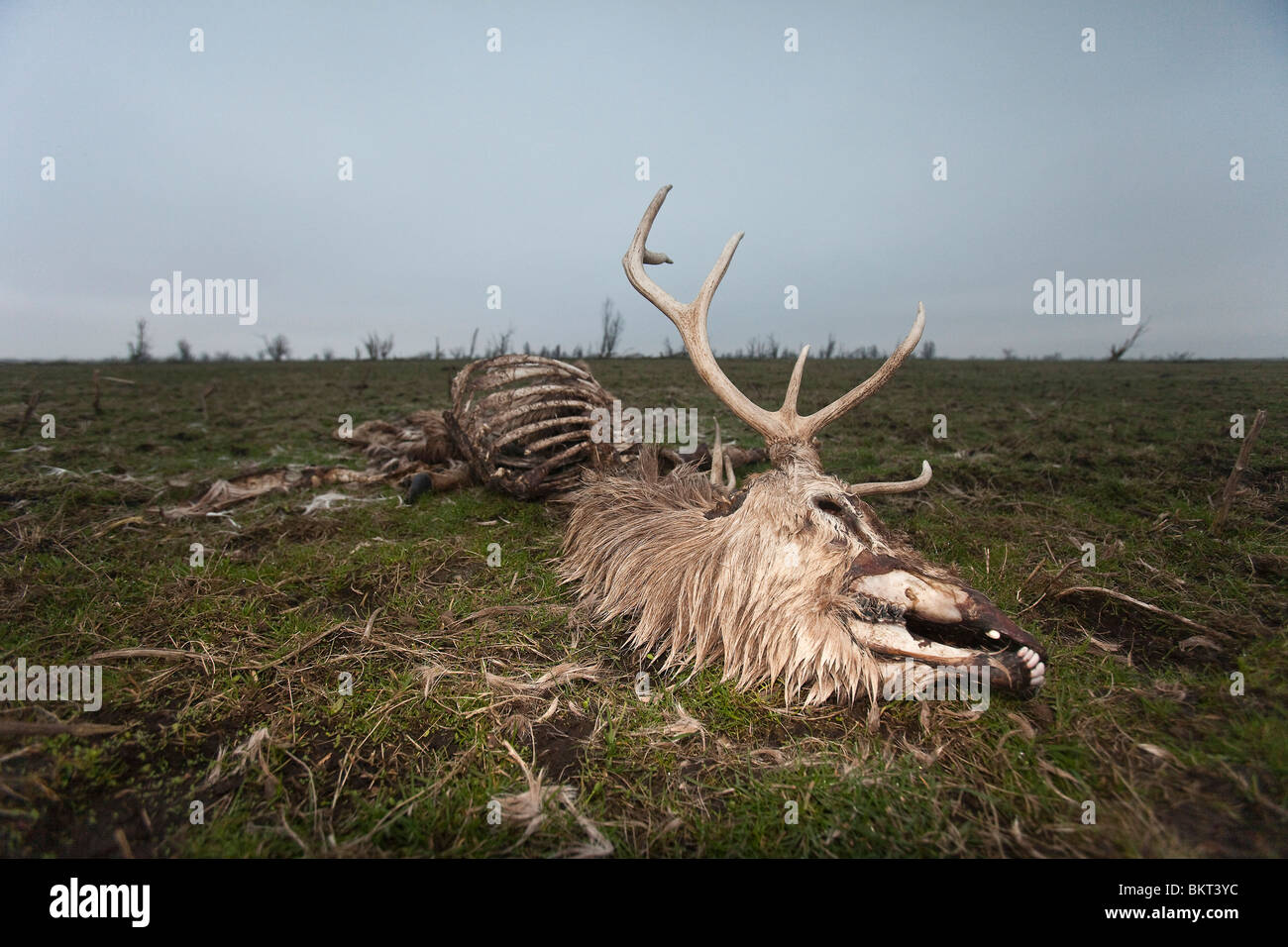 Digital Archive High Resolution Stock Photography and Images - Alamy