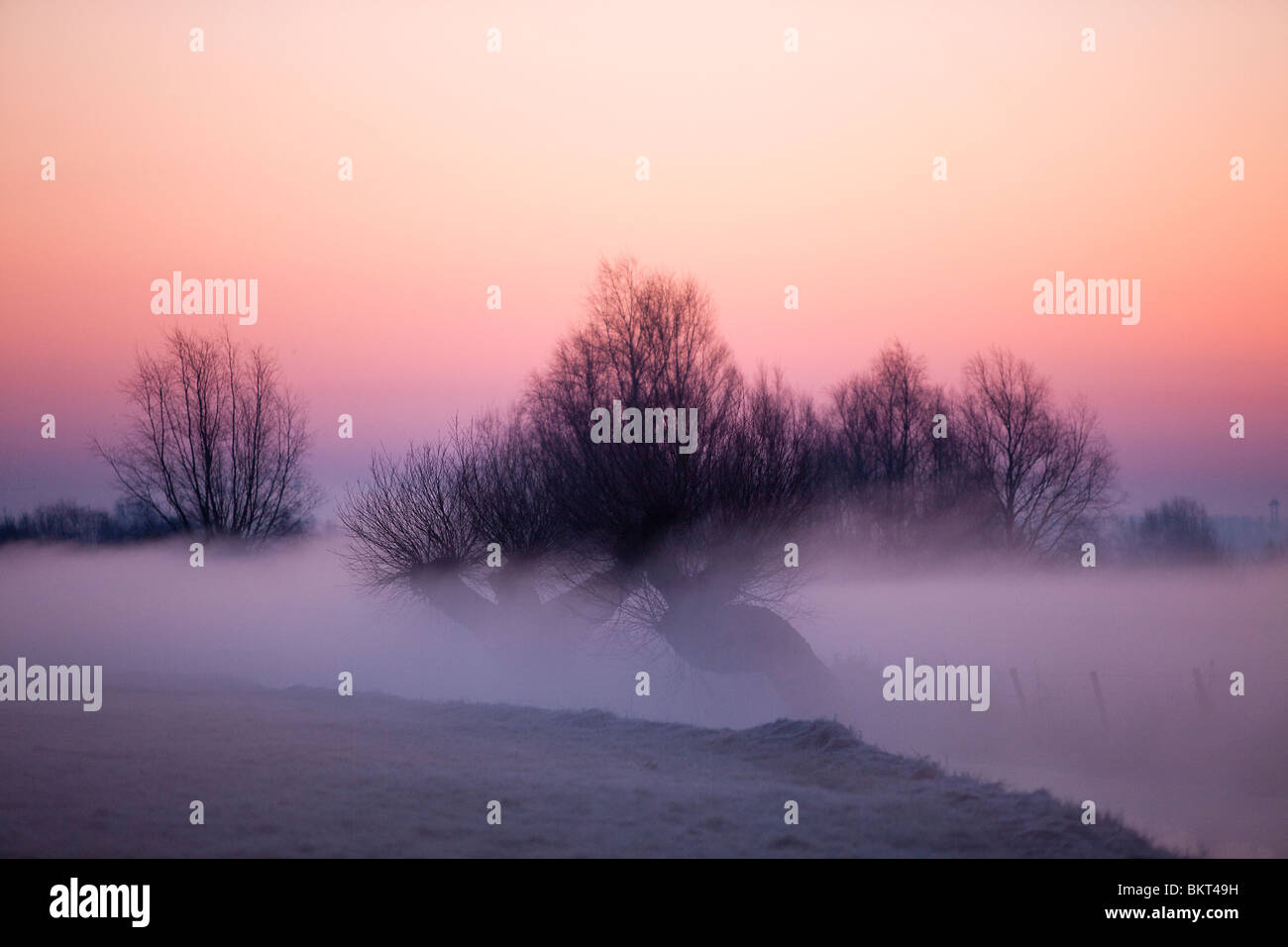 Misty flood plains of river after cold spring night Stock Photo - Alamy