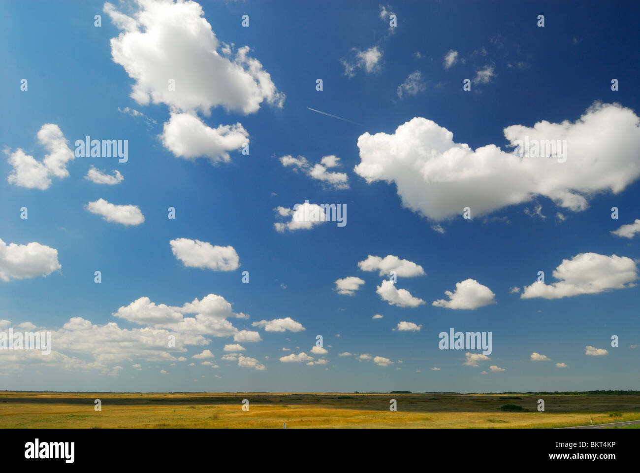 Pusta hi-res stock photography and images - Alamy