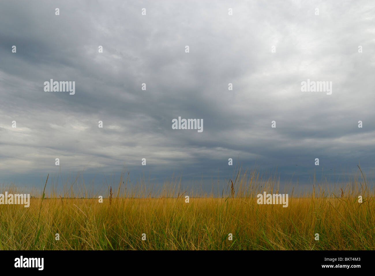 Pusta hi-res stock photography and images - Alamy