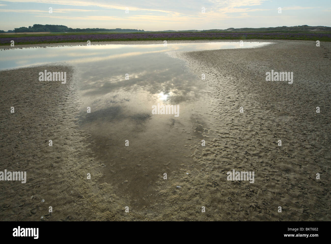 Slikken en schorren in natuurreservaat hi-res stock photography and ...