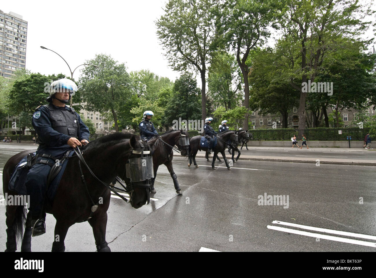 Police officers riding horses Montreal Canada Stock Photo - Alamy