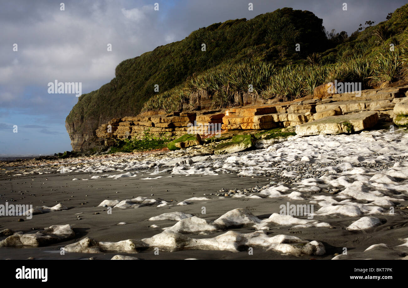 Rapahoe Beach on the West Coast of the South Island of New Zealand ...