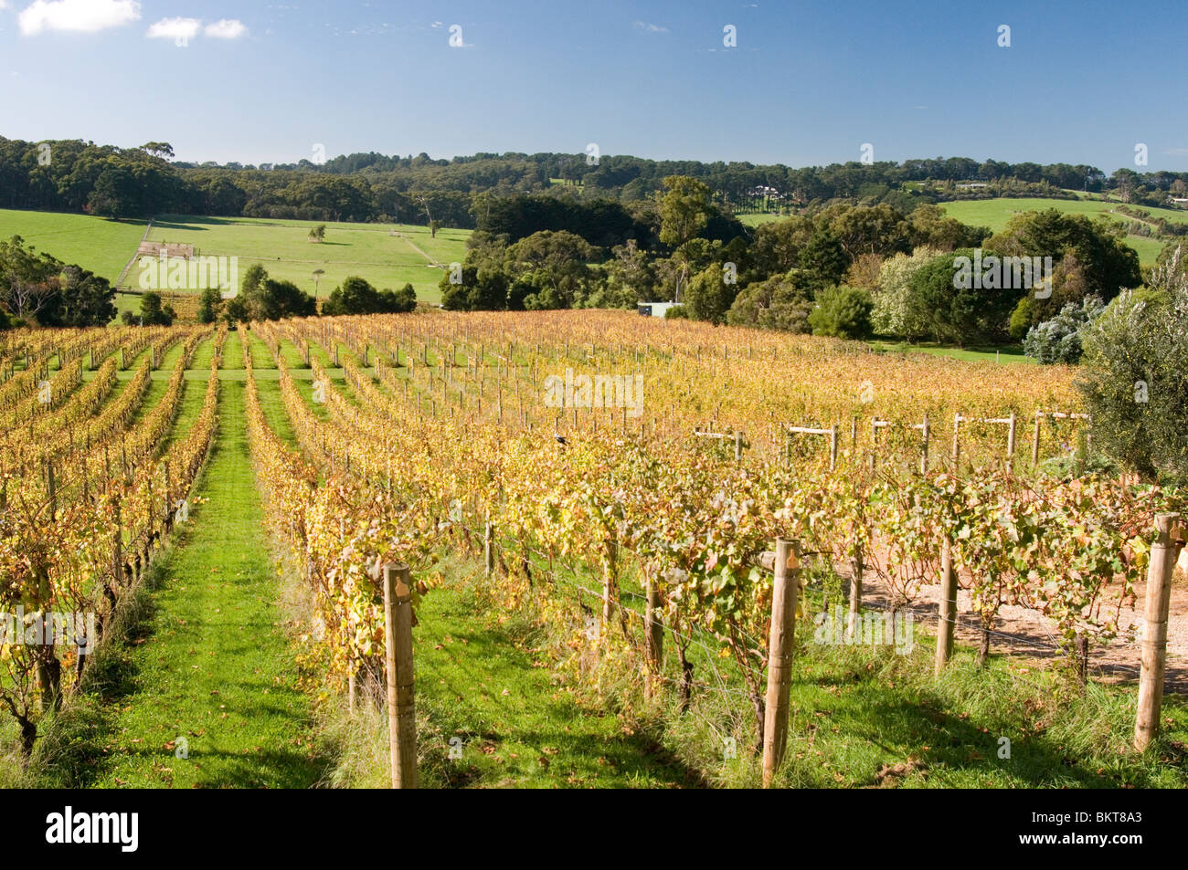 The mornington peninsula hi-res stock photography and images - Alamy