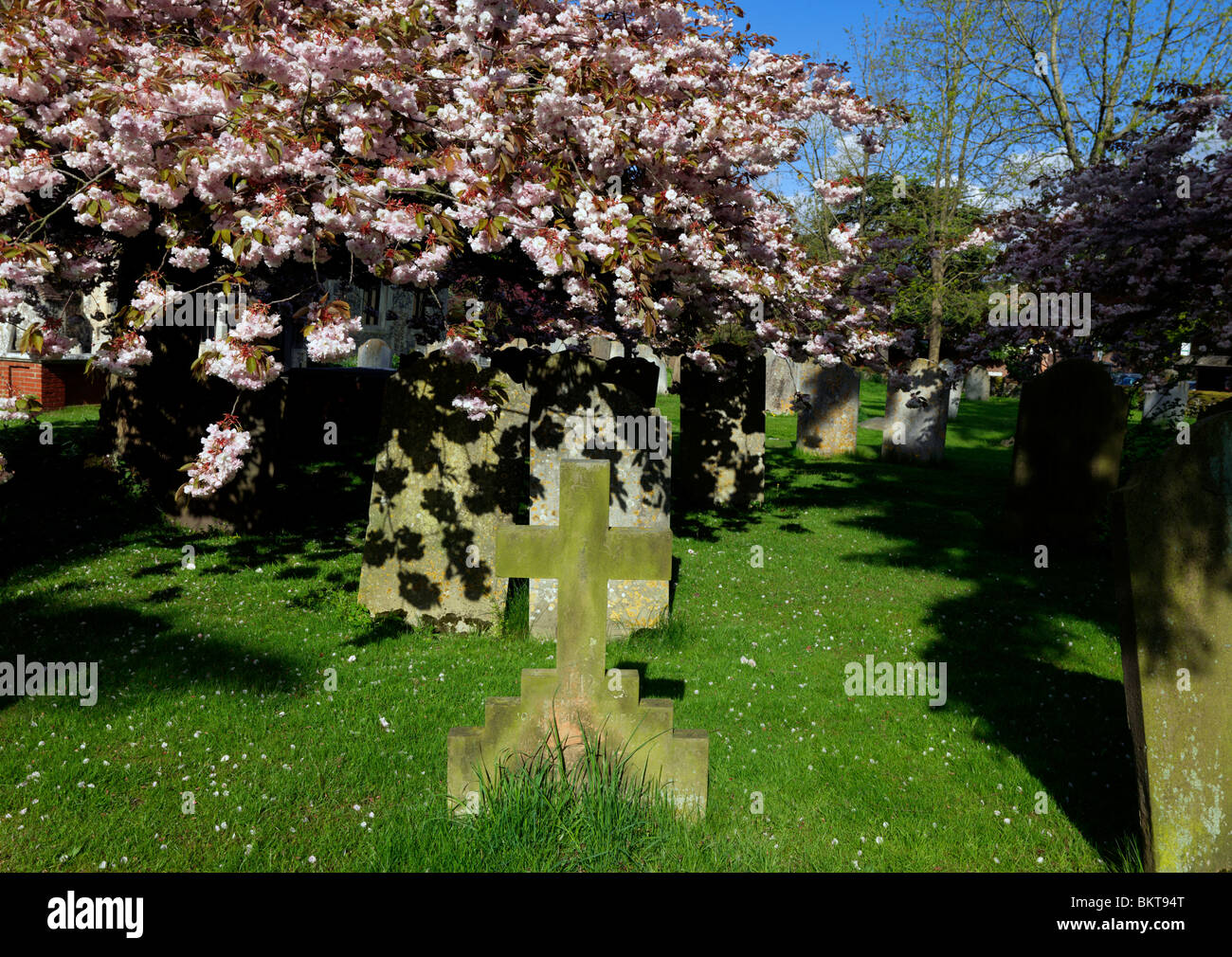 Bookham village hi-res stock photography and images - Alamy