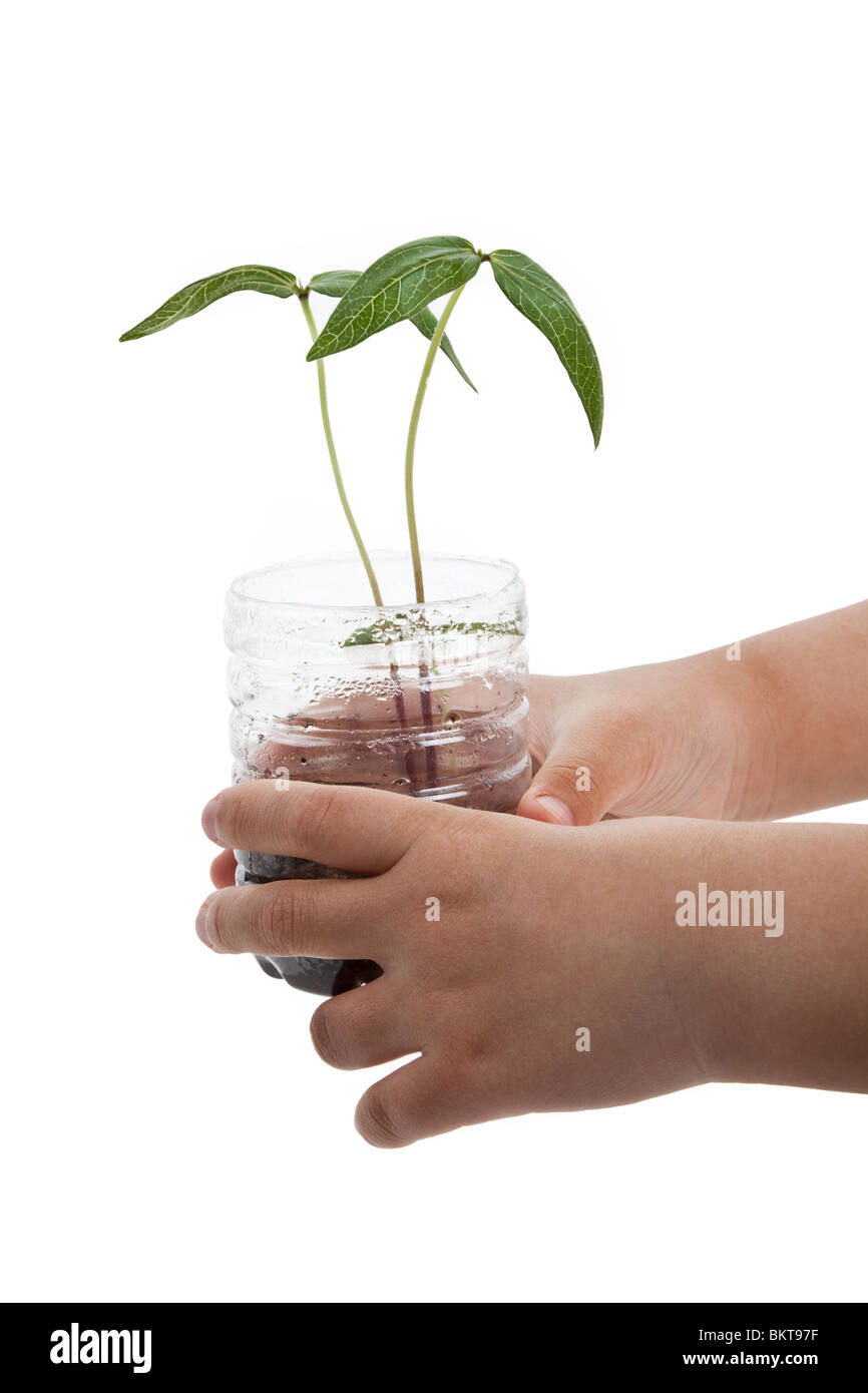 plastic bottle and Sprout with white background Stock Photo - Alamy