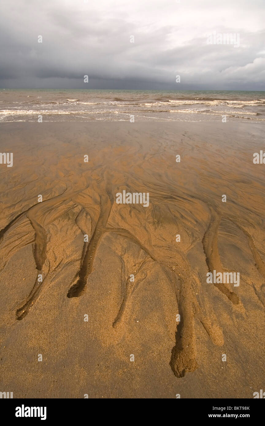 Freshwater lenses fill beneath the beach and flow out to sea, leaving ...