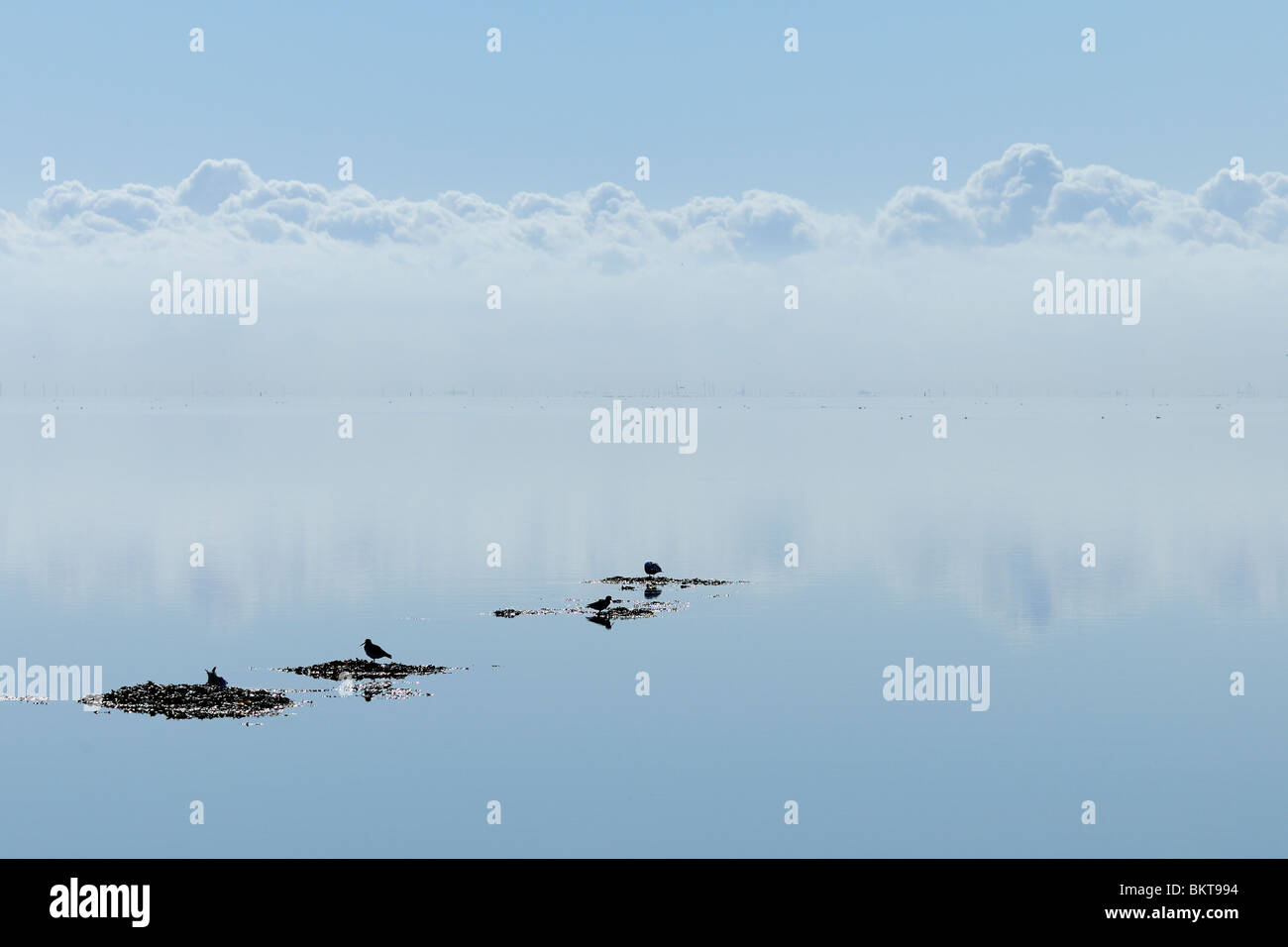 waddensea smooth as a mirror at high tide Stock Photo - Alamy