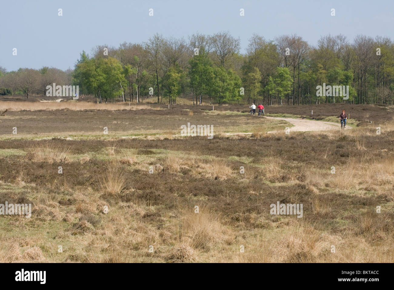 Balloerveld hi-res stock photography and images - Alamy