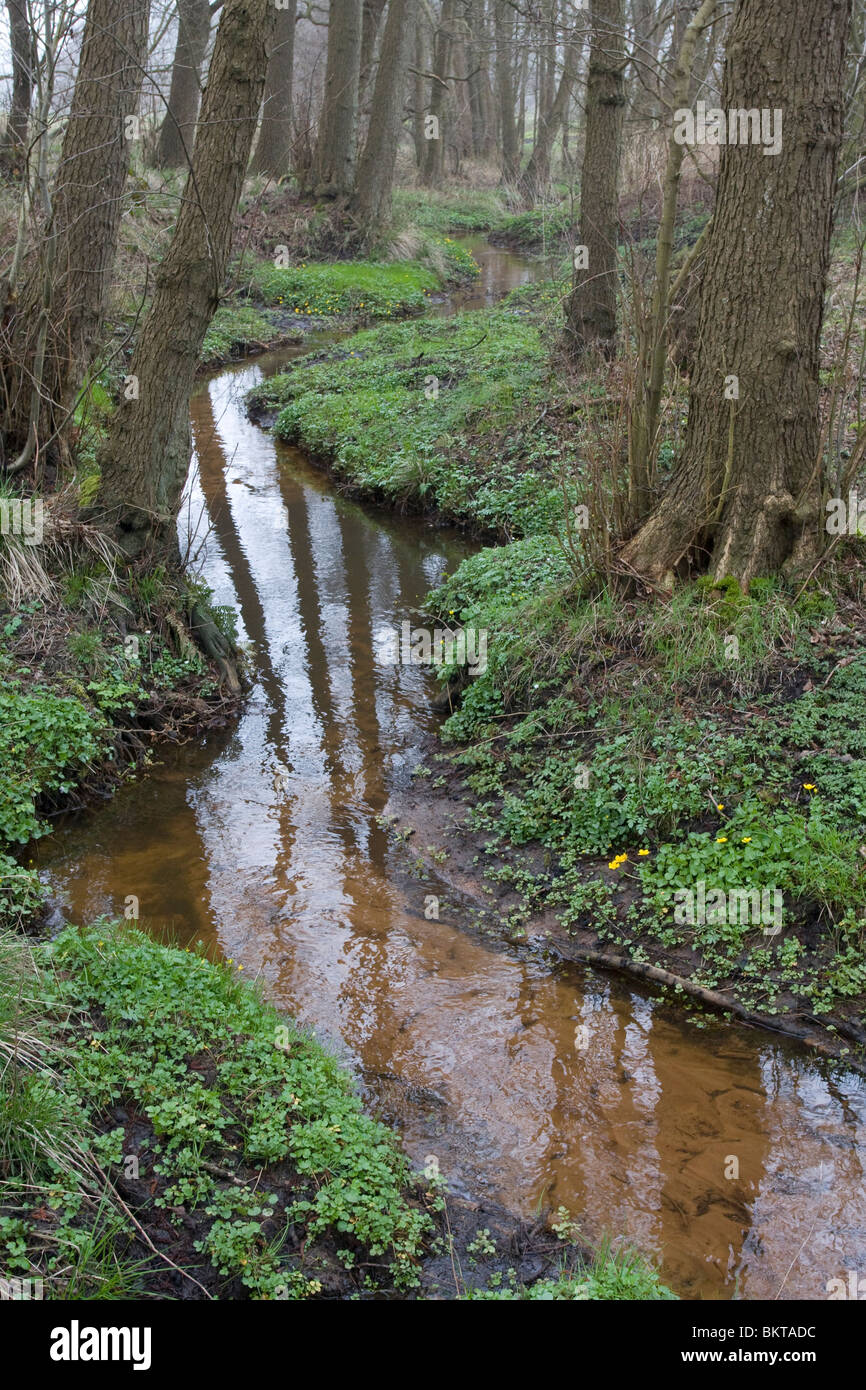 Beekje in het beekdal van de Drentse Aa bij Loon Stock Photo - Alamy