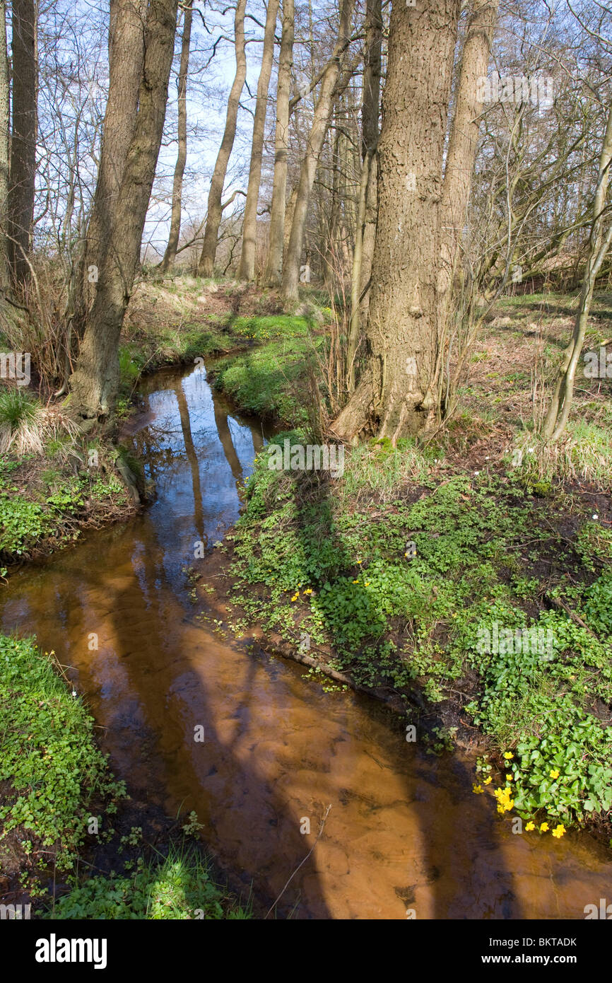 Beekje hi-res stock photography and images - Alamy