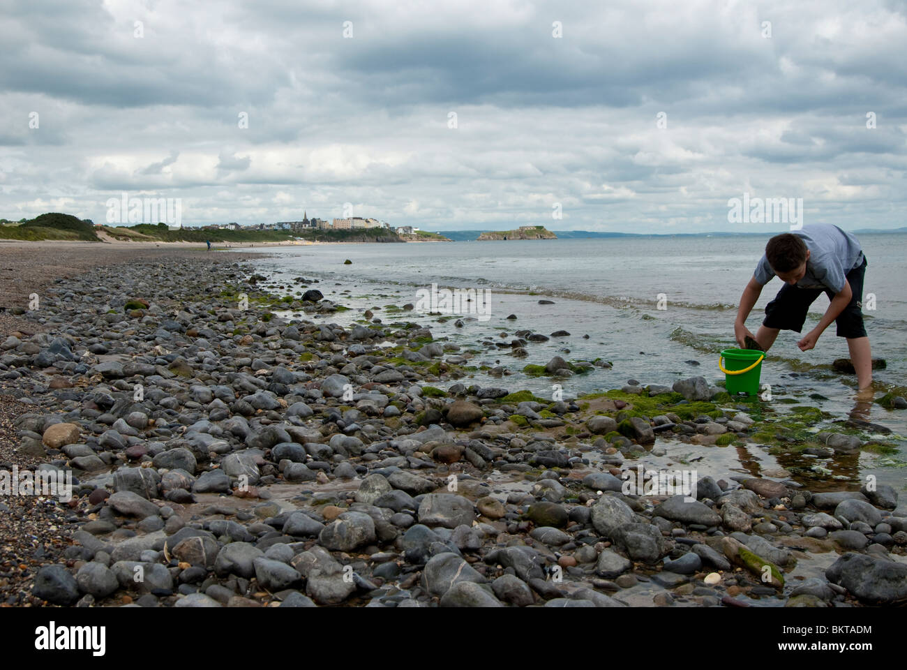 Uk sea creatures hi-res stock photography and images - Alamy