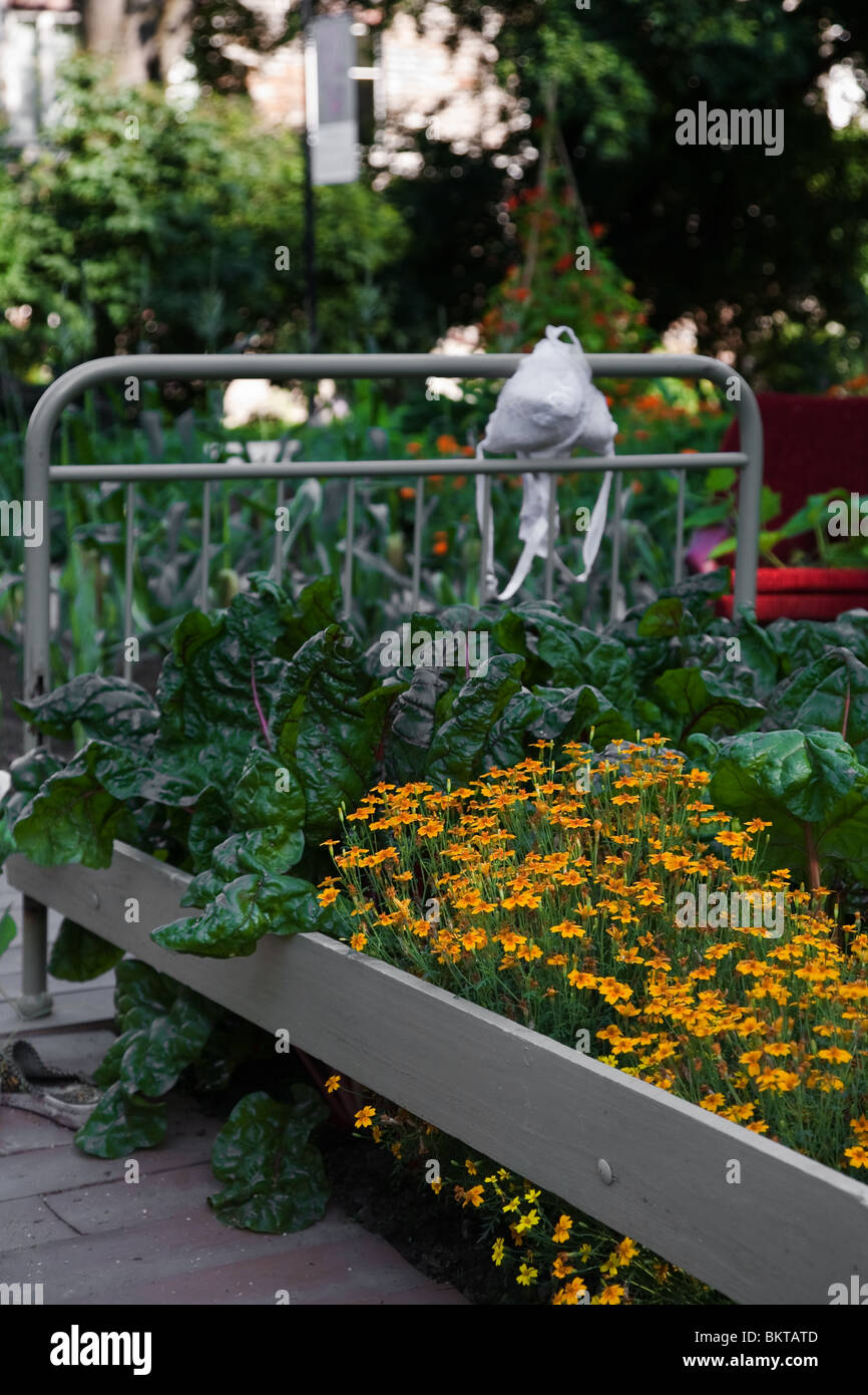 Beet flower hi-res stock photography and images - Alamy