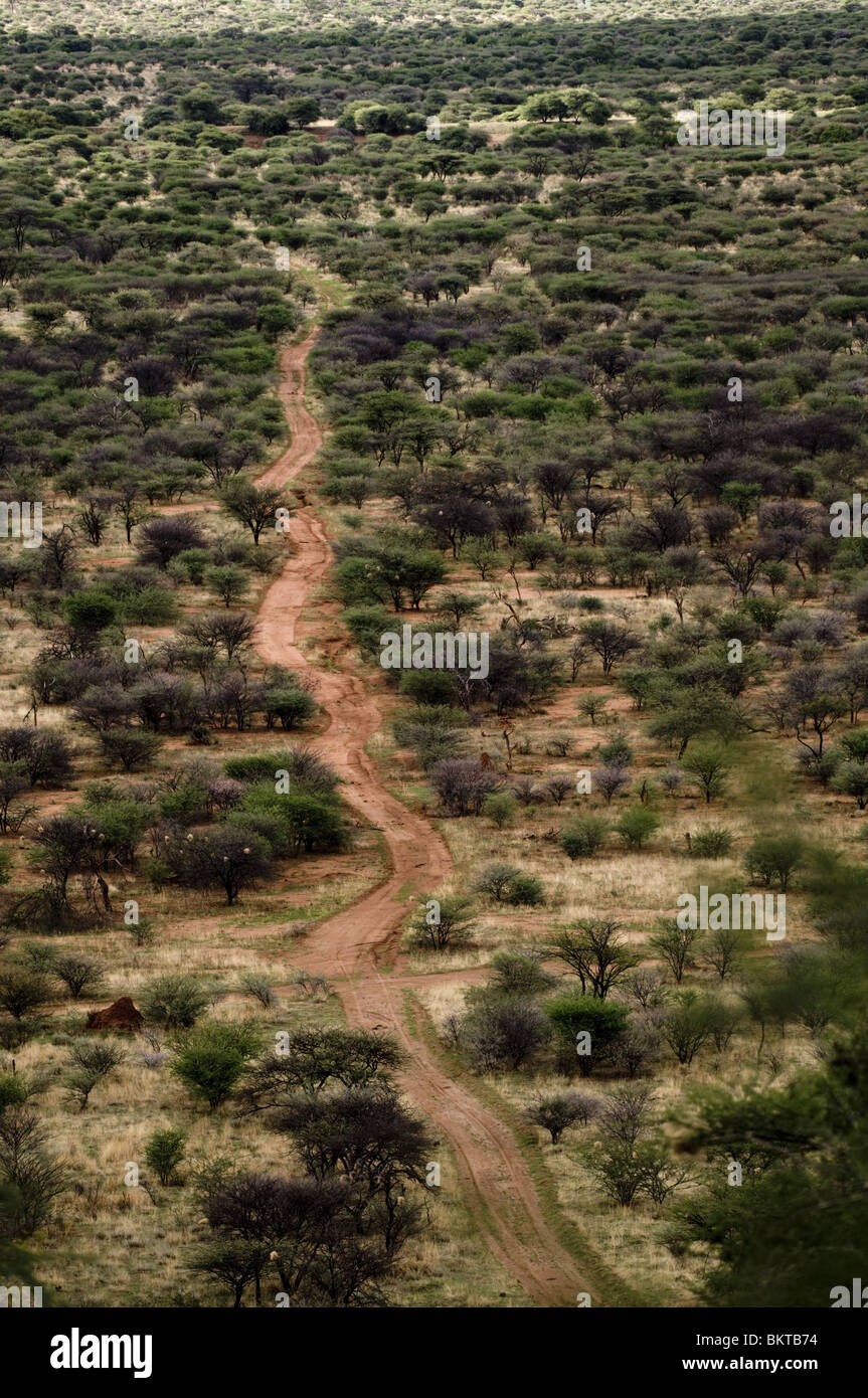 A road through the African Bush, Namibia Stock Photo - Alamy