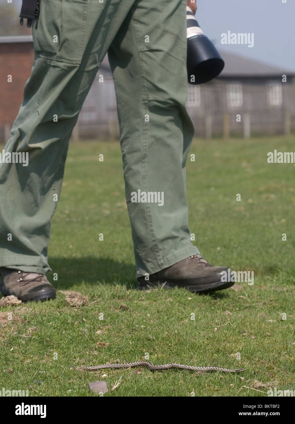 Kruip hi-res stock photography and images - Alamy