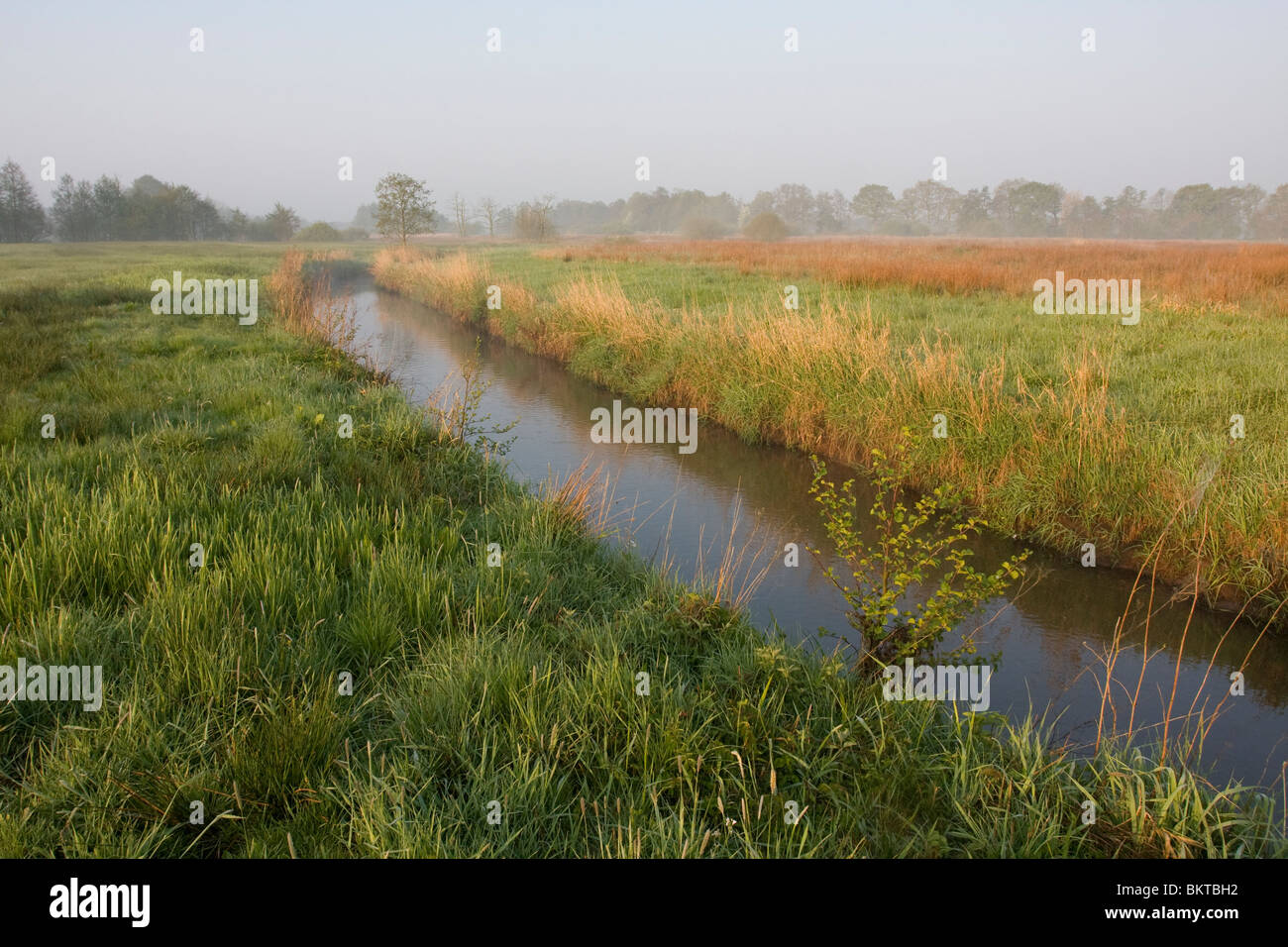 Stichting het drentse landschap hi-res stock photography and images - Alamy