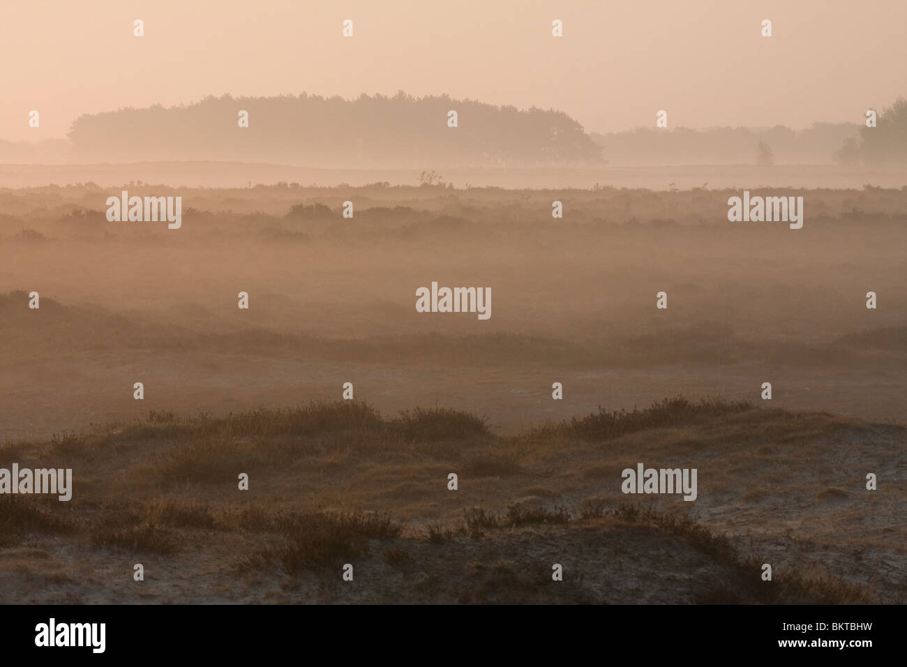 Nevel hi-res stock photography and images - Alamy