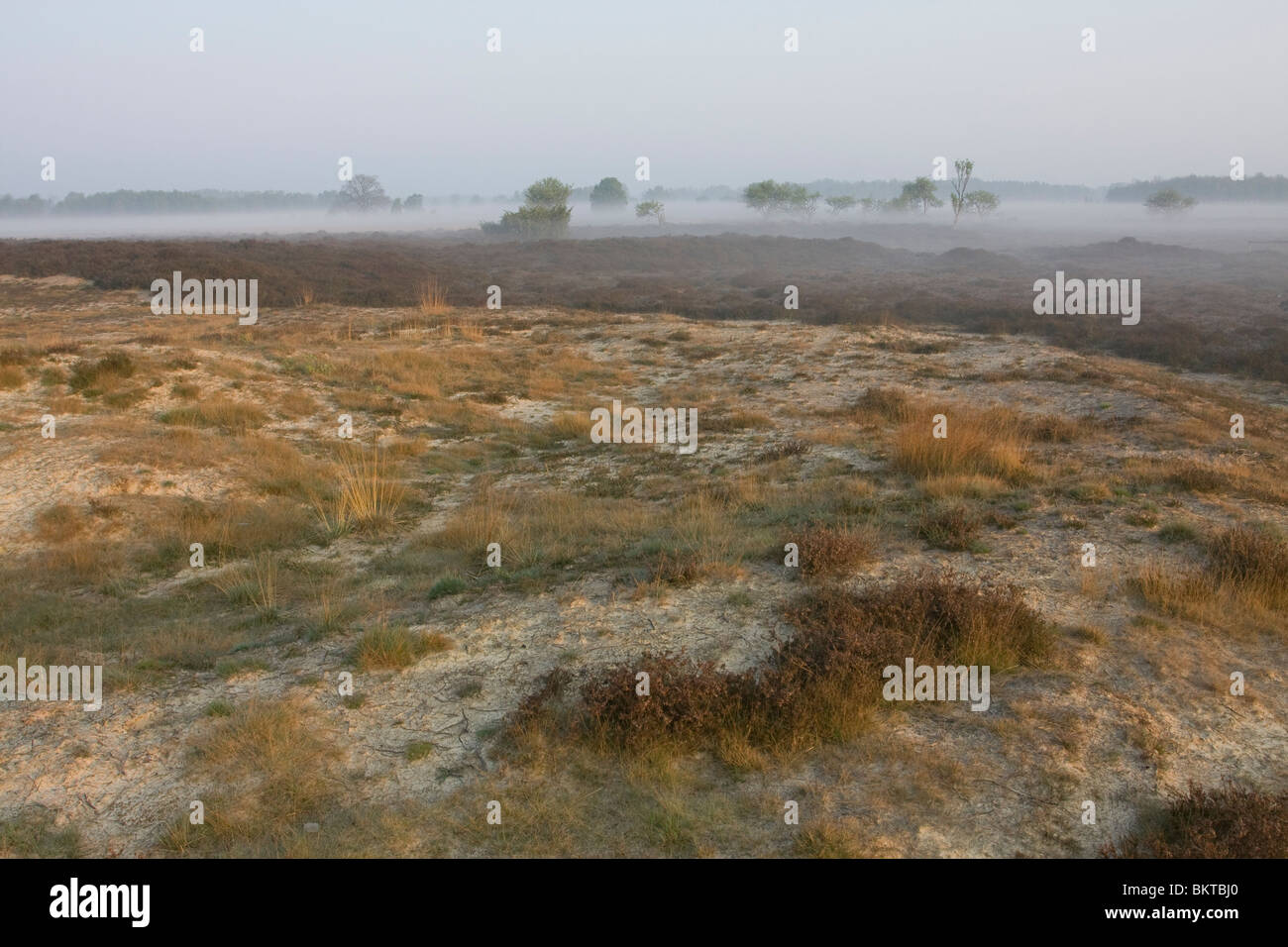 Nevel hi-res stock photography and images - Alamy