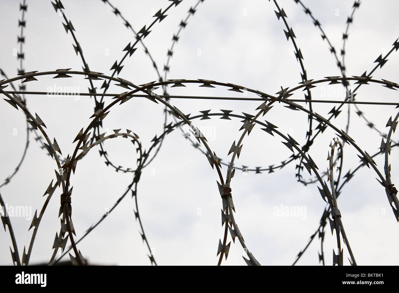 Silver barbed wire hi-res stock photography and images - Alamy