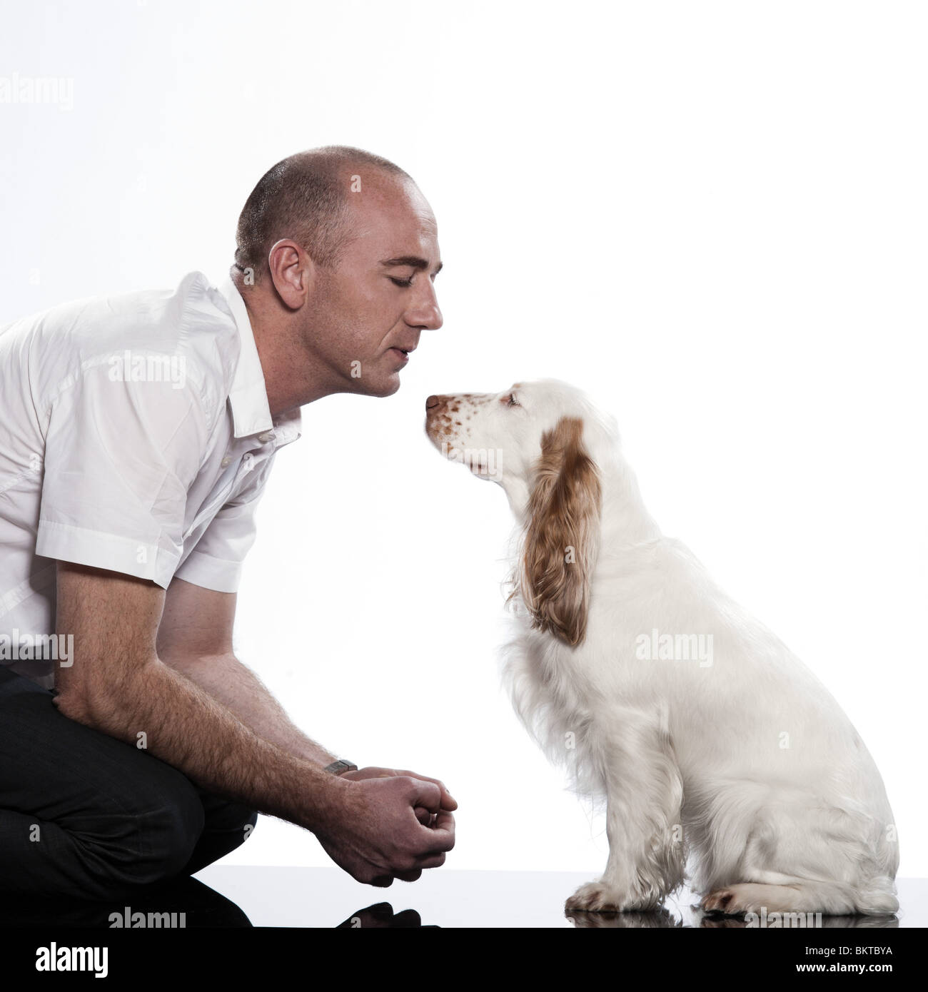 red English Cocker Spaniel and his master on studio white background ...