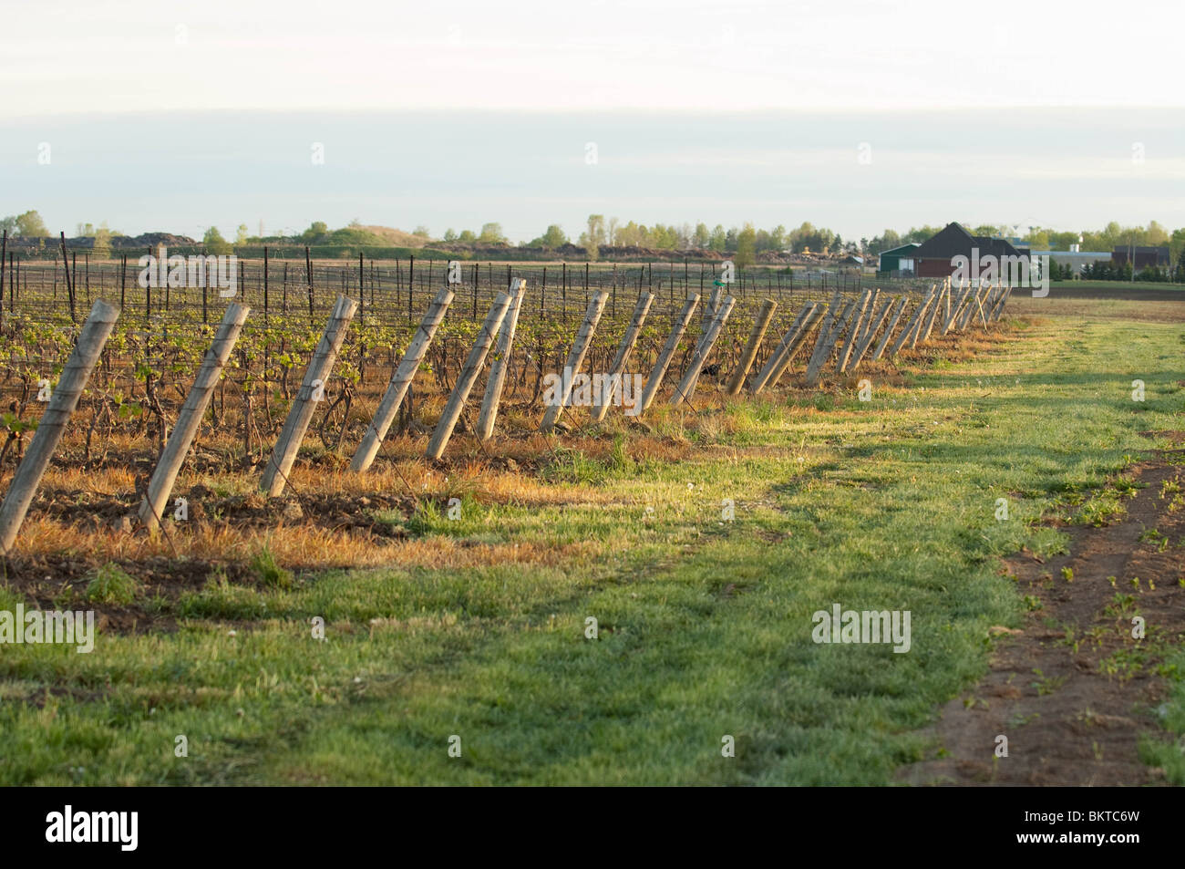 Control posts hi-res stock photography and images - Alamy